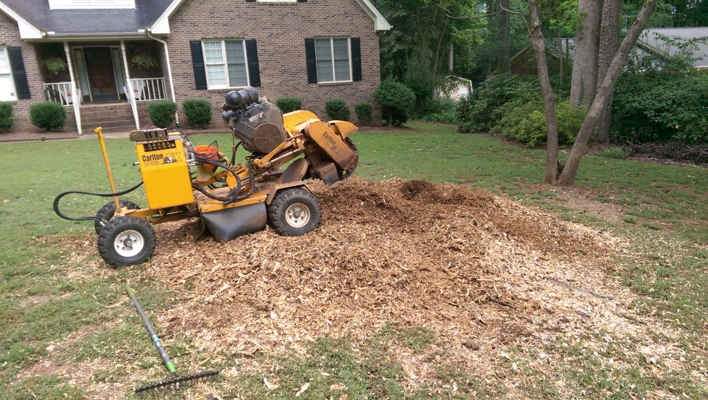 Raleigh Stump Grinding Service – Professional Stump Grinding at ...