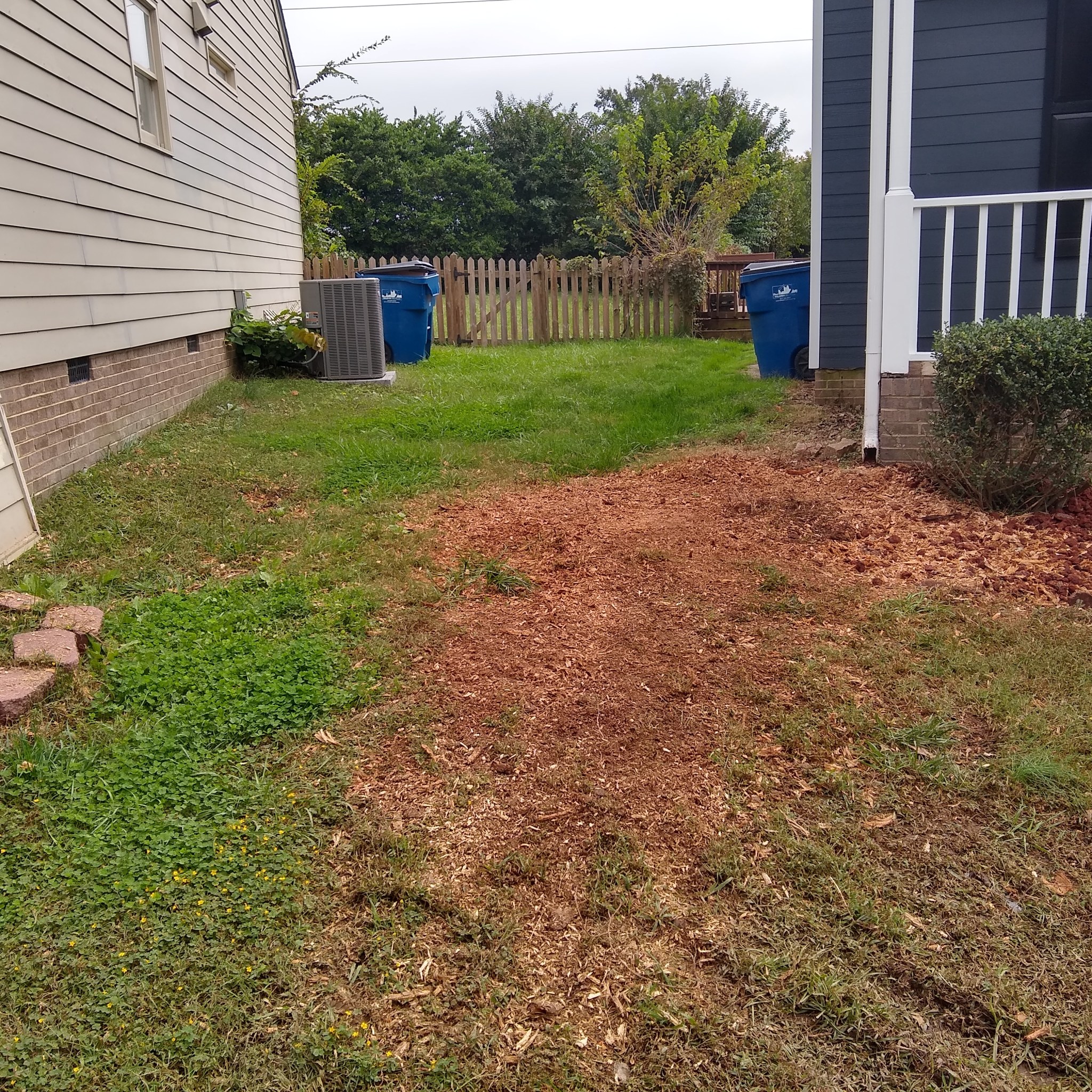 Raleigh Stump Grinding Service – Professional Stump Grinding at ...