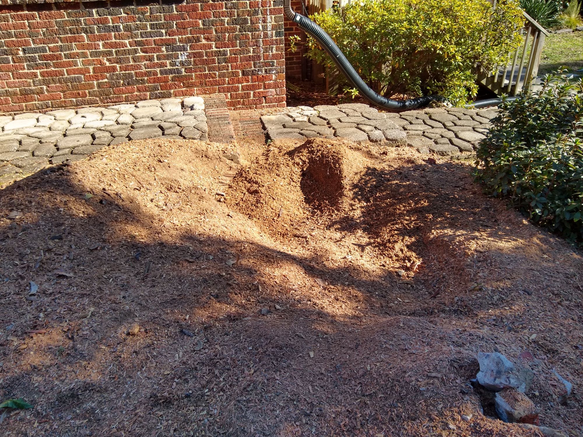 Raleigh Stump Grinding Service – Professional Stump Grinding at ...